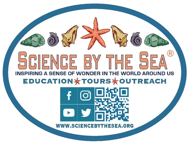 Science by the Sea Eco-Tours - Visit Beaufort, NC